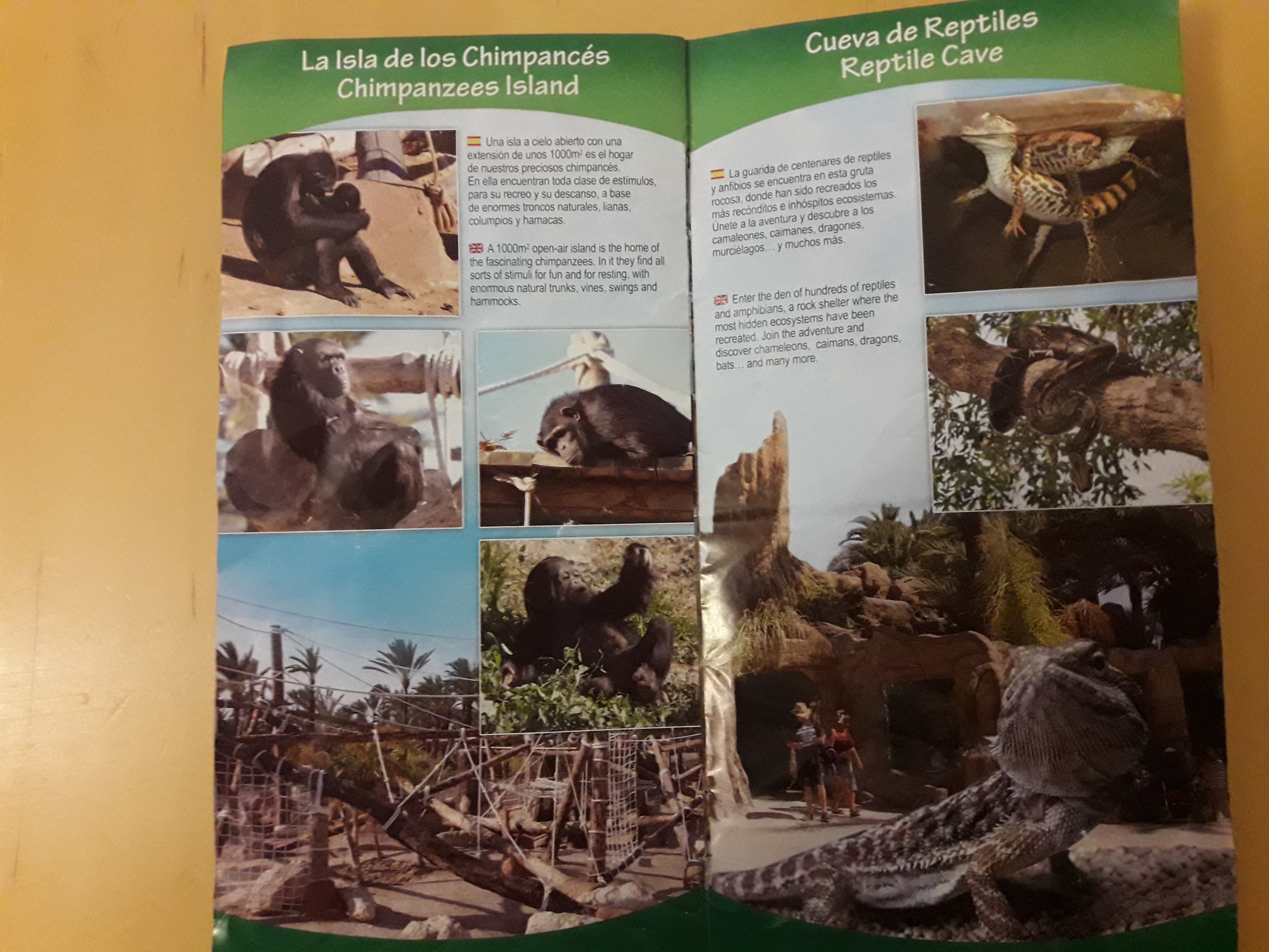 Rio Safari Elche – Un zoo très chouette, et une piste de karting juste ...